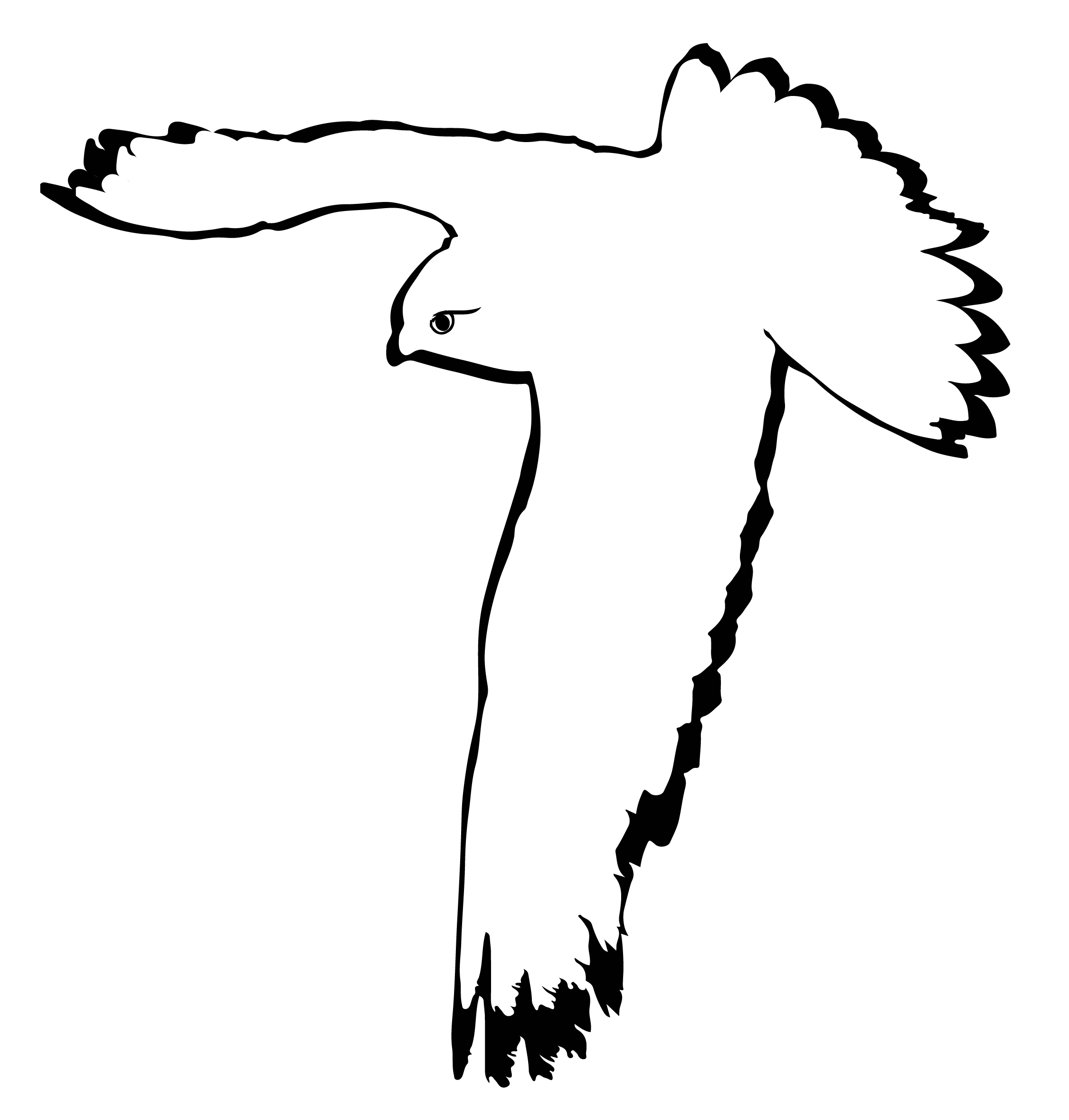 Projects - White Falcon Solutions